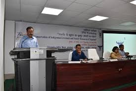 North East Christian University, NECU Nagaland, About Us, Courses, Fees ...